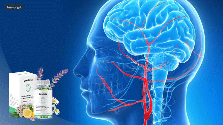 Cali Express (Premium)